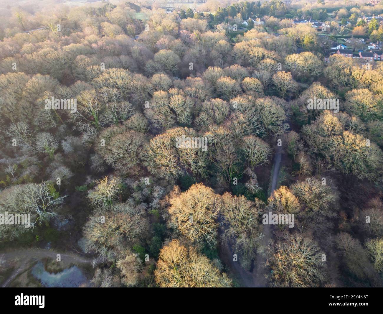 aerial view of rusthall common on the edge of tunbridge wells in kent ...