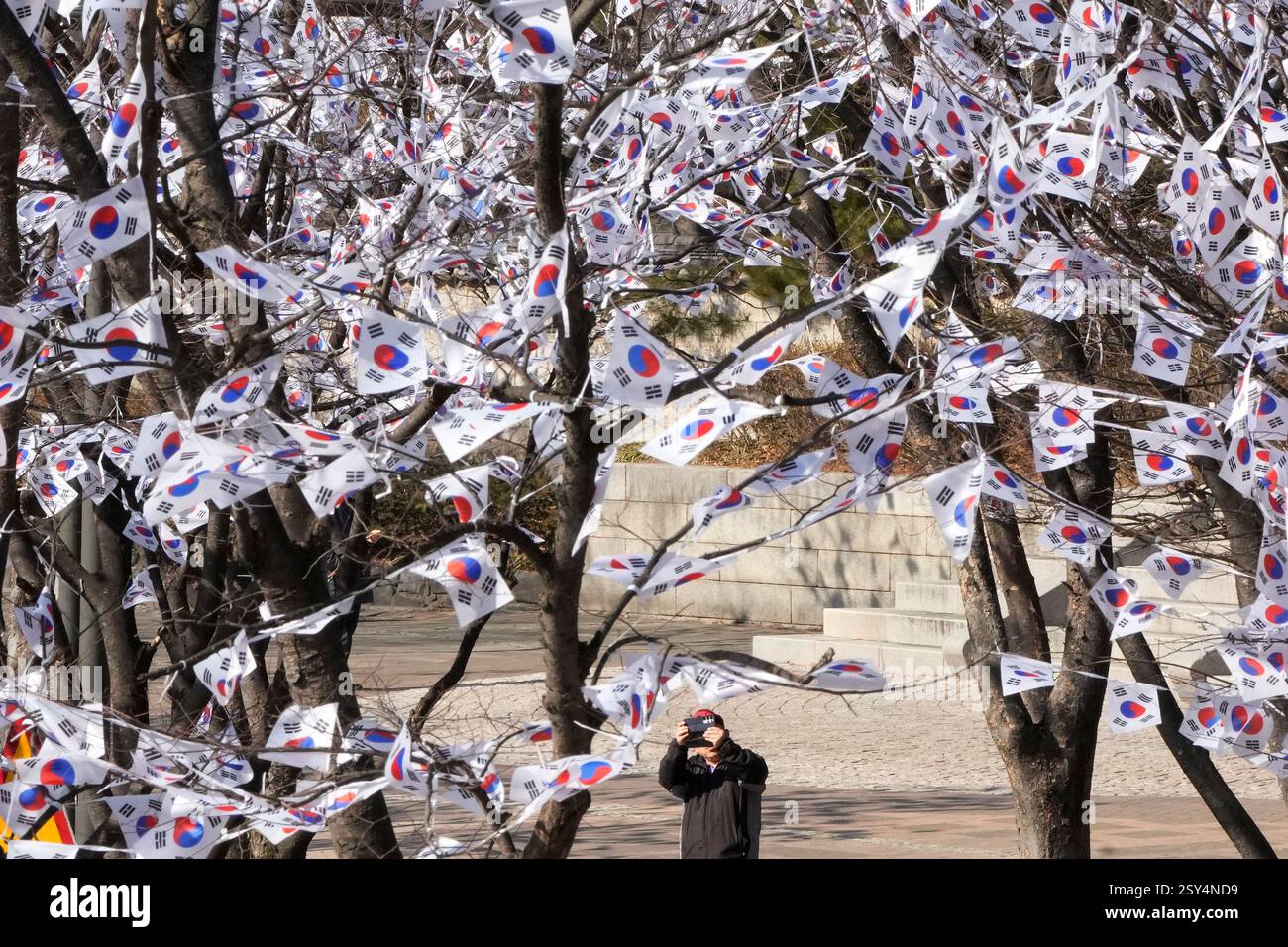 A visitor takes photos of national flags hanging on trees ahead of the ...