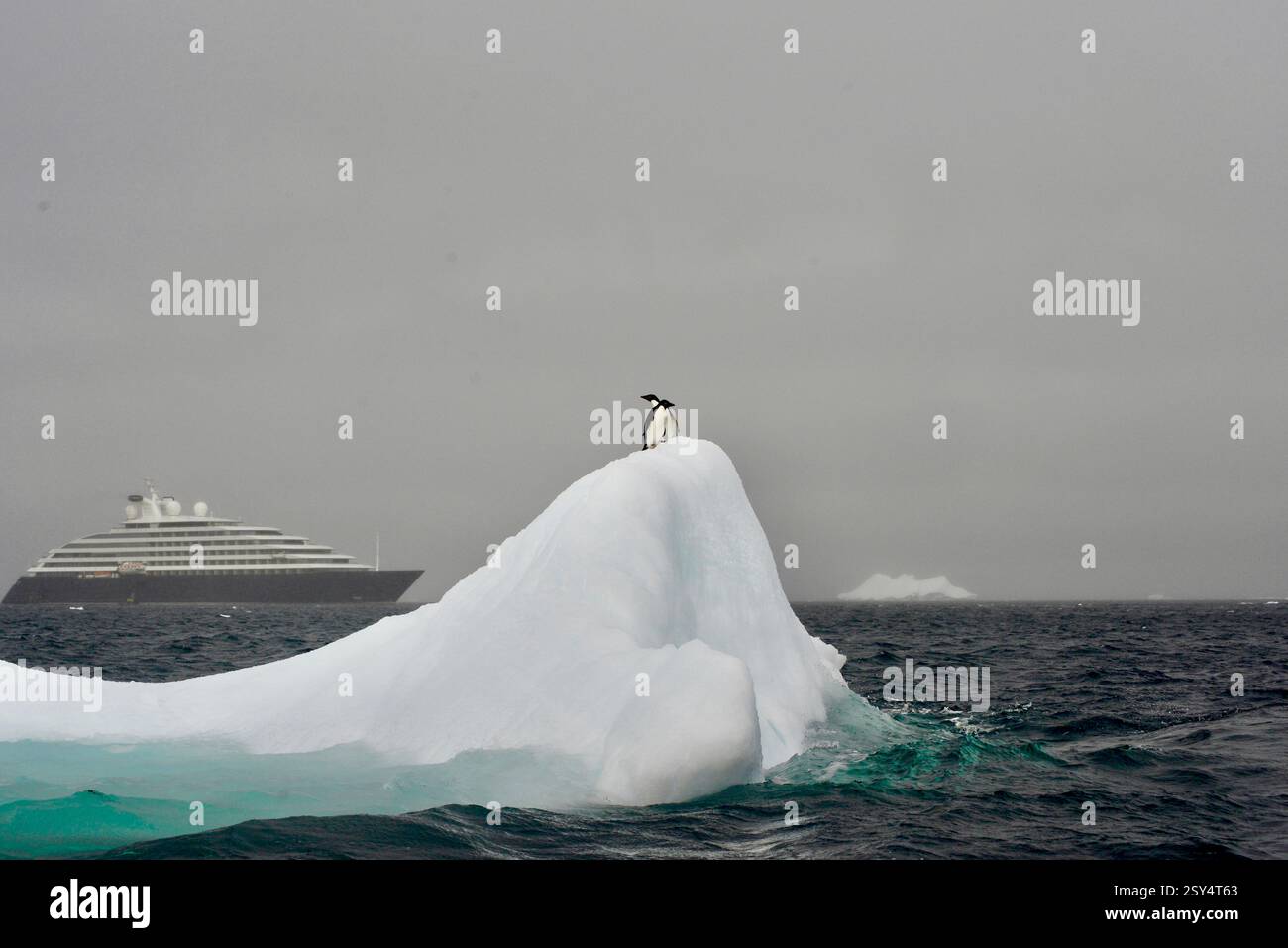 Adele Penguins on watch from iceberg tip Stock Photo - Alamy