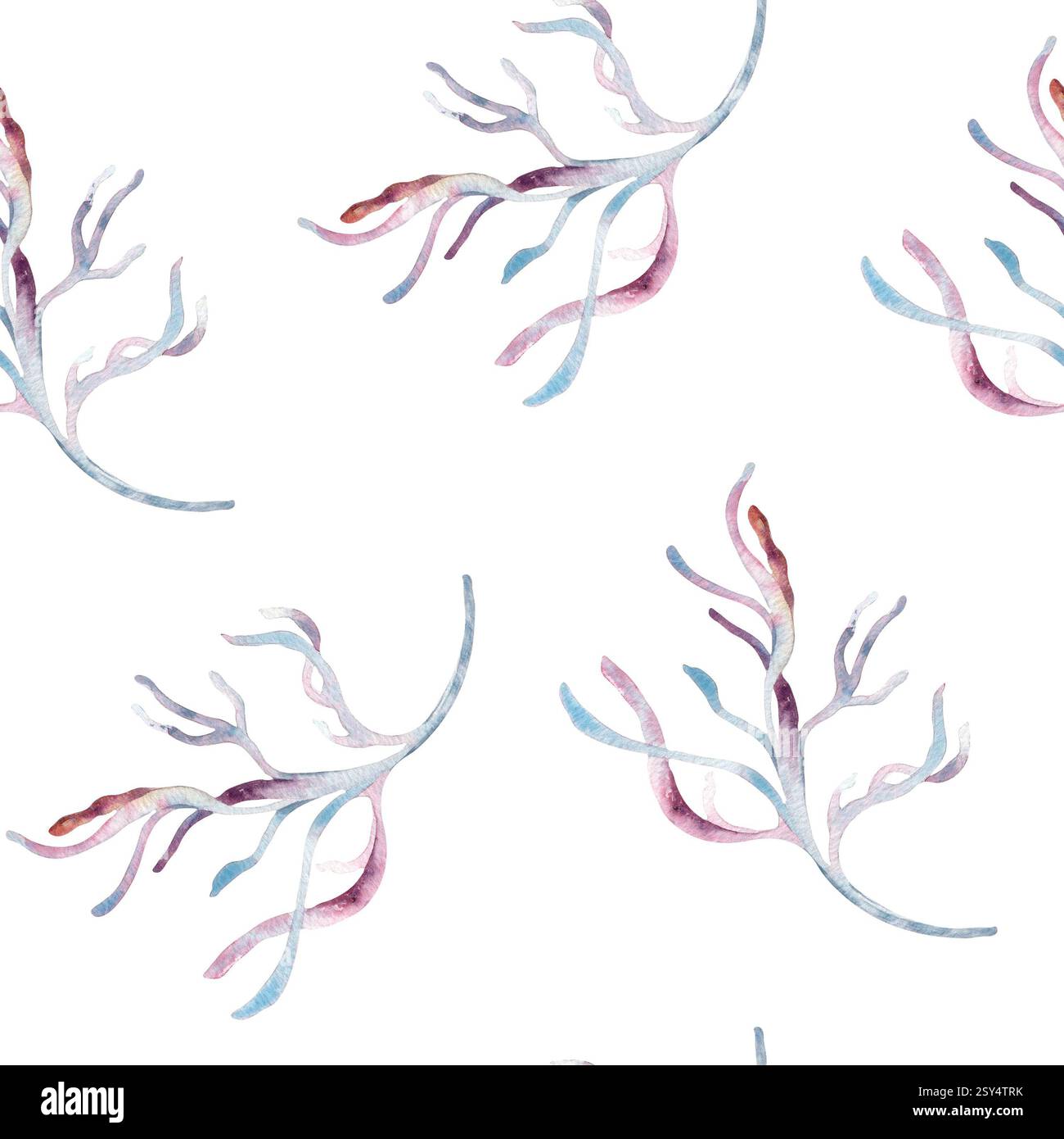 Coastal plants Cut Out Stock Images & Pictures - Alamy