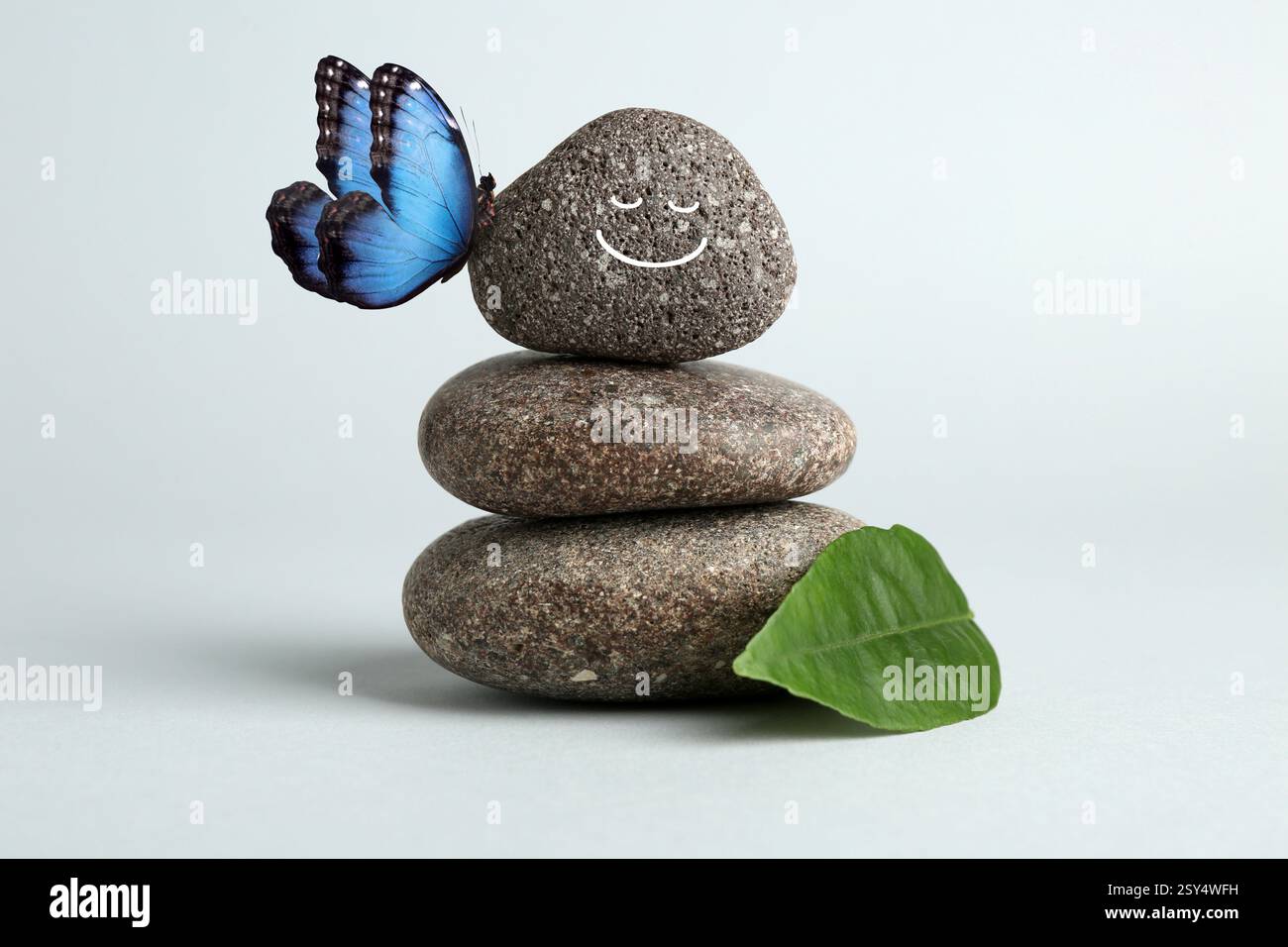 Butterfly on stone with smiling face, stack of pebbles and green leaf ...
