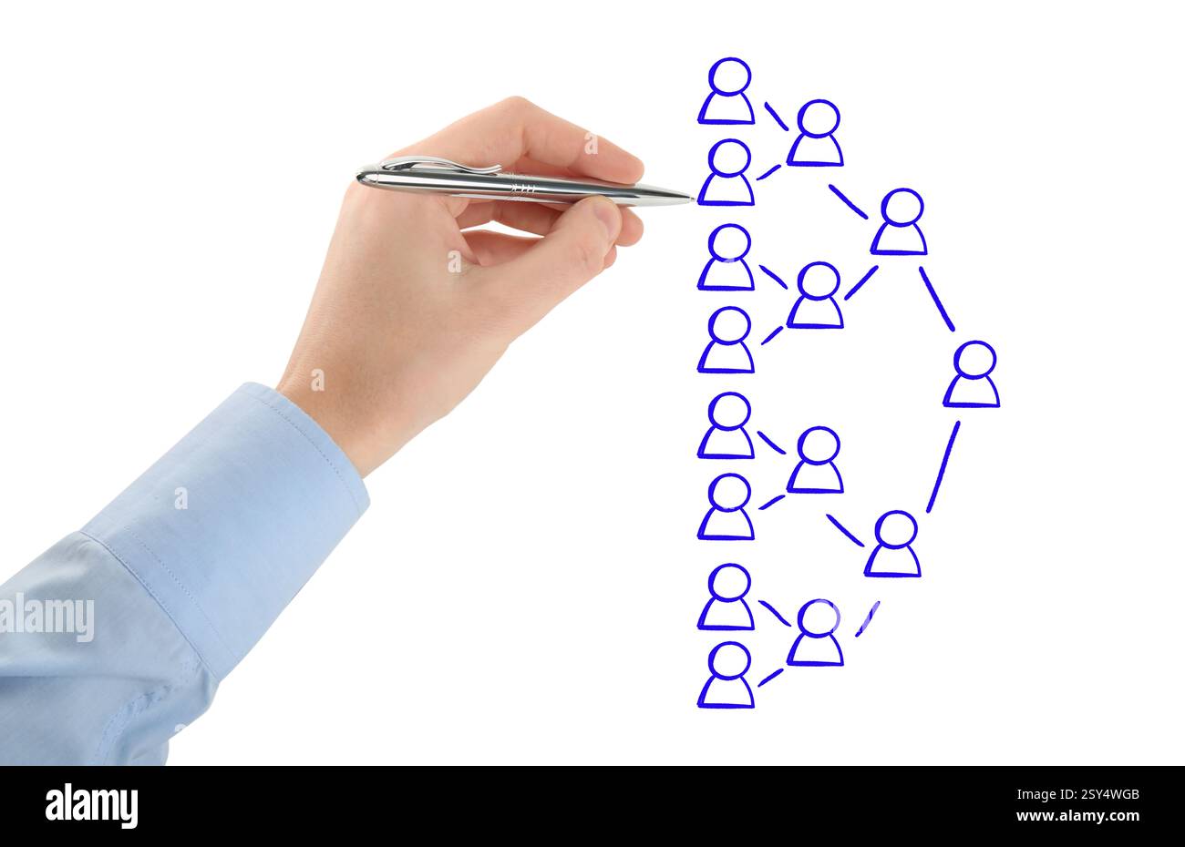 Man drawing family tree on white background. Scheme with human figures ...