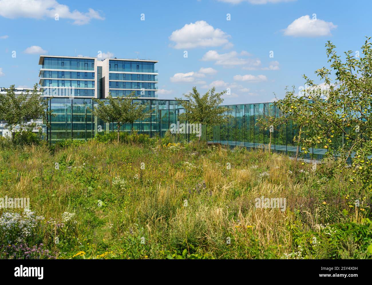 Contemporary, slightly brutalist architecture of the Centre for the ...