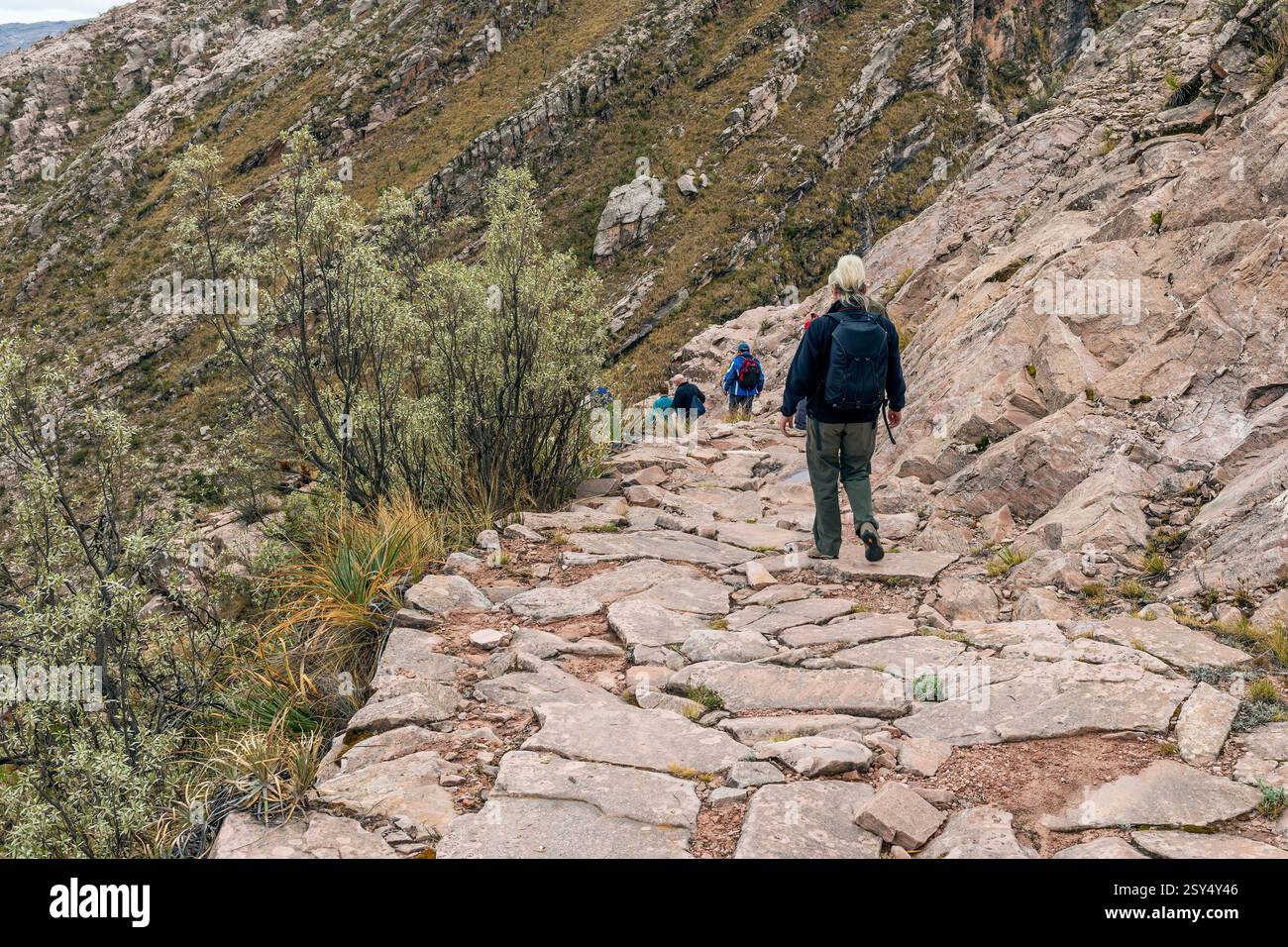 Tourist and backpackers hiking on Inca Trail, Chataquila, Sucre ...
