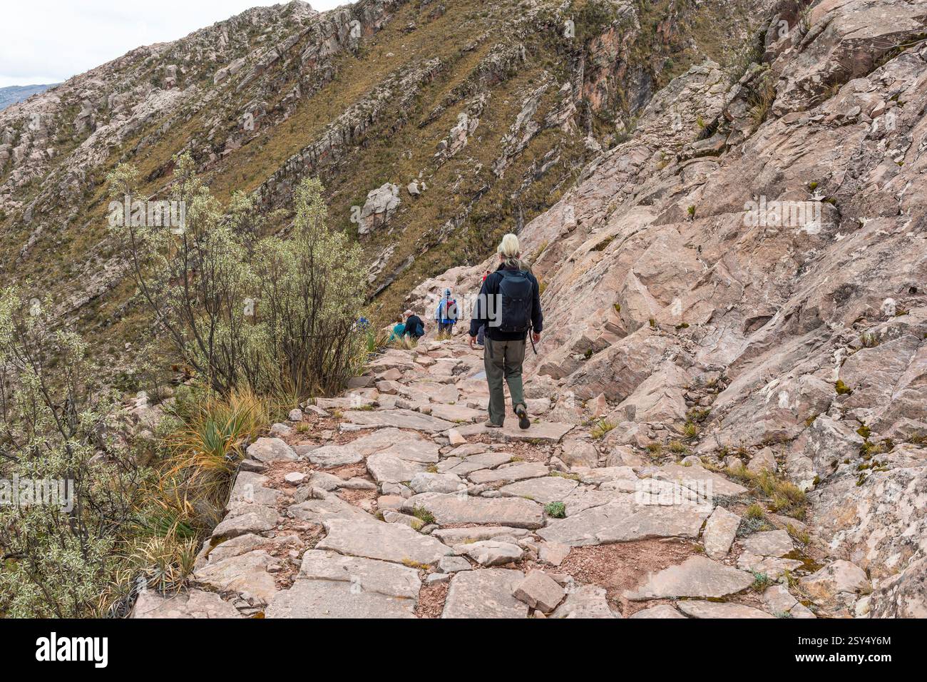 Tourist and backpackers hiking on Inca Trail, Chataquila, Sucre ...