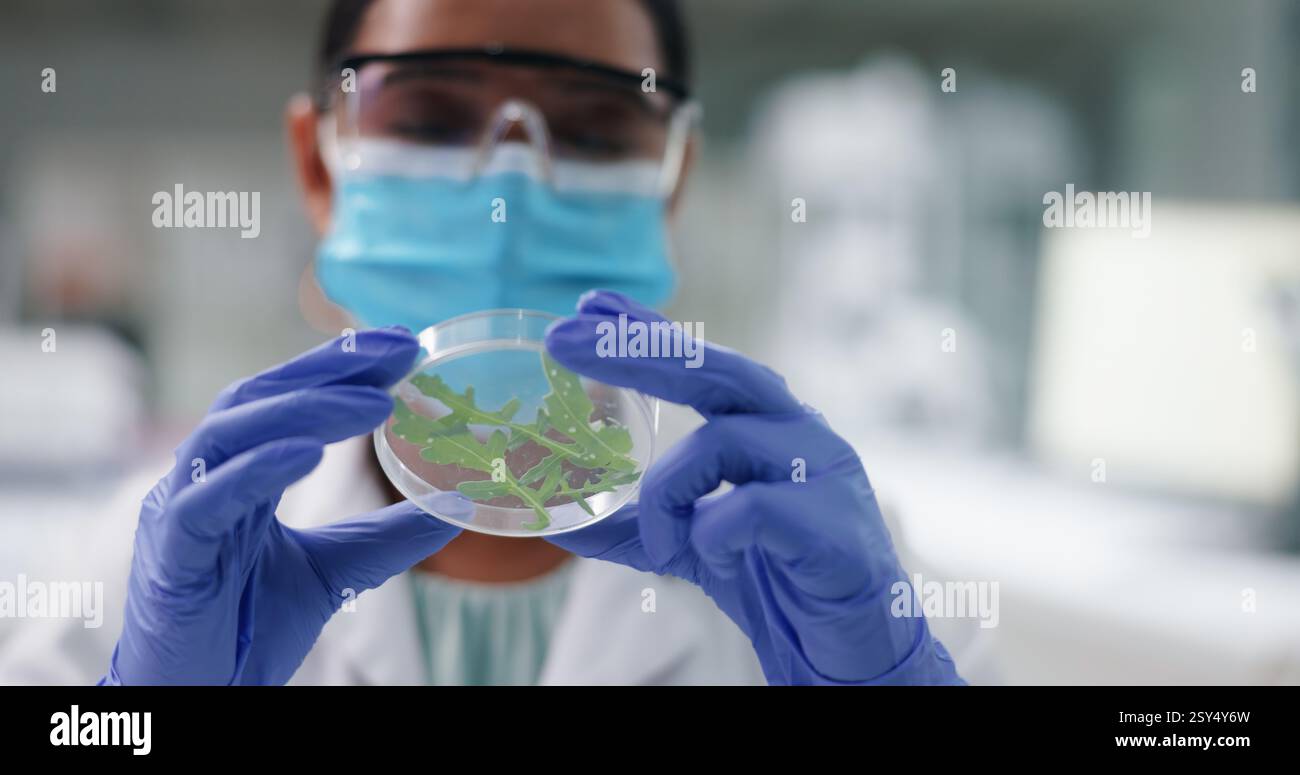 Biologist, scientist and woman with plant in lab, research and science ...