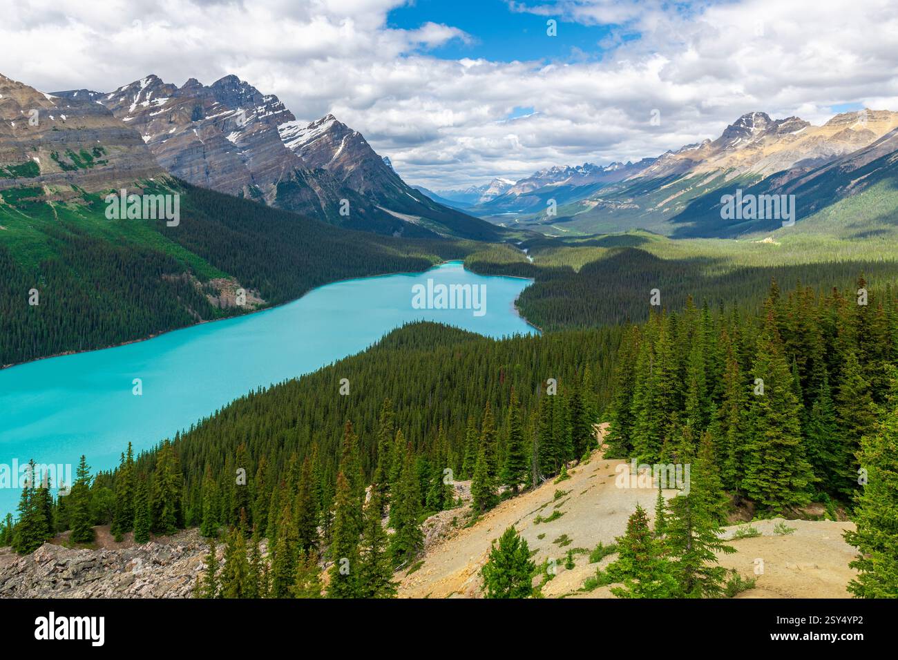 Peyto lake, Canadian Rocky Mountains, Banff national park, Canada Stock ...