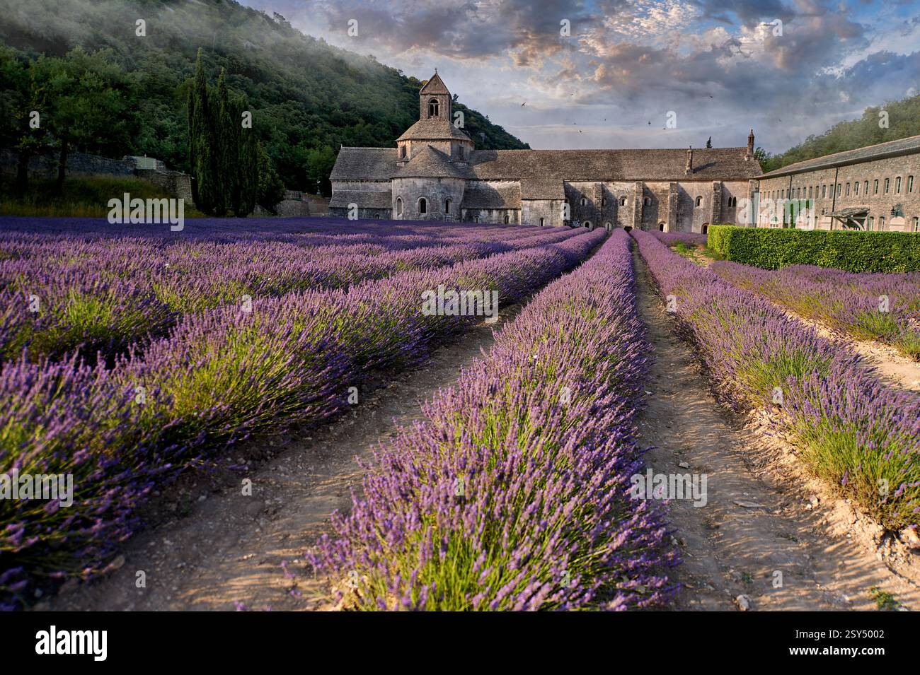 The 12th century Romanesque Cistercian Abbey of Notre Dame of Senanque ...