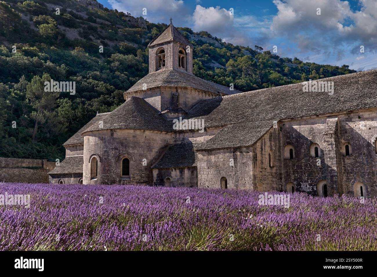 The 12th century Romanesque Cistercian Abbey of Notre Dame of Senanque ...