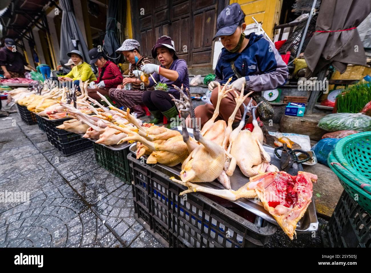 Women sit in a row selling fresh chickens at one of the many street markets in the centre of Hoi ...