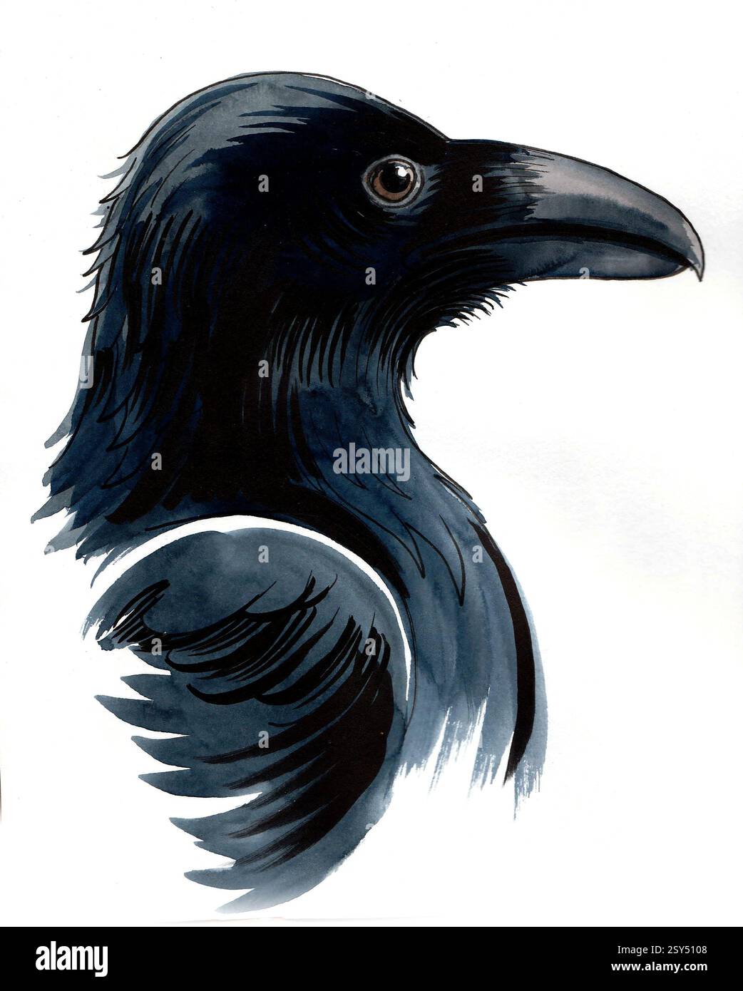 Raven head. Hand drawn watercolour illustration Stock Photo - Alamy
