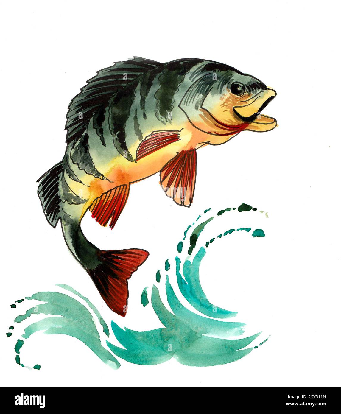 Jumping fish. Hand drawn watercolour illustration Stock Photo - Alamy