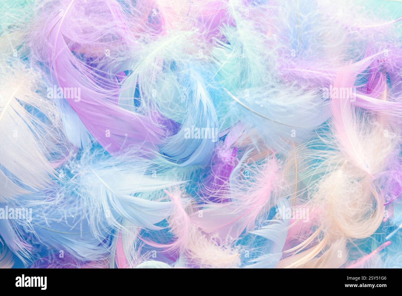 Closeup view of colorful feathers. Angelic pastel fluffy background ...