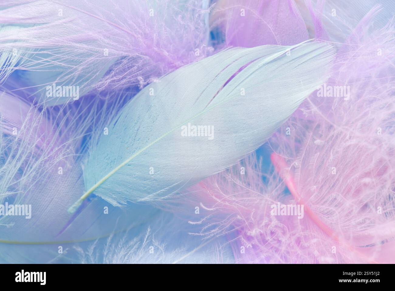 Closeup view of colorful feathers. Angelic pastel fluffy background ...