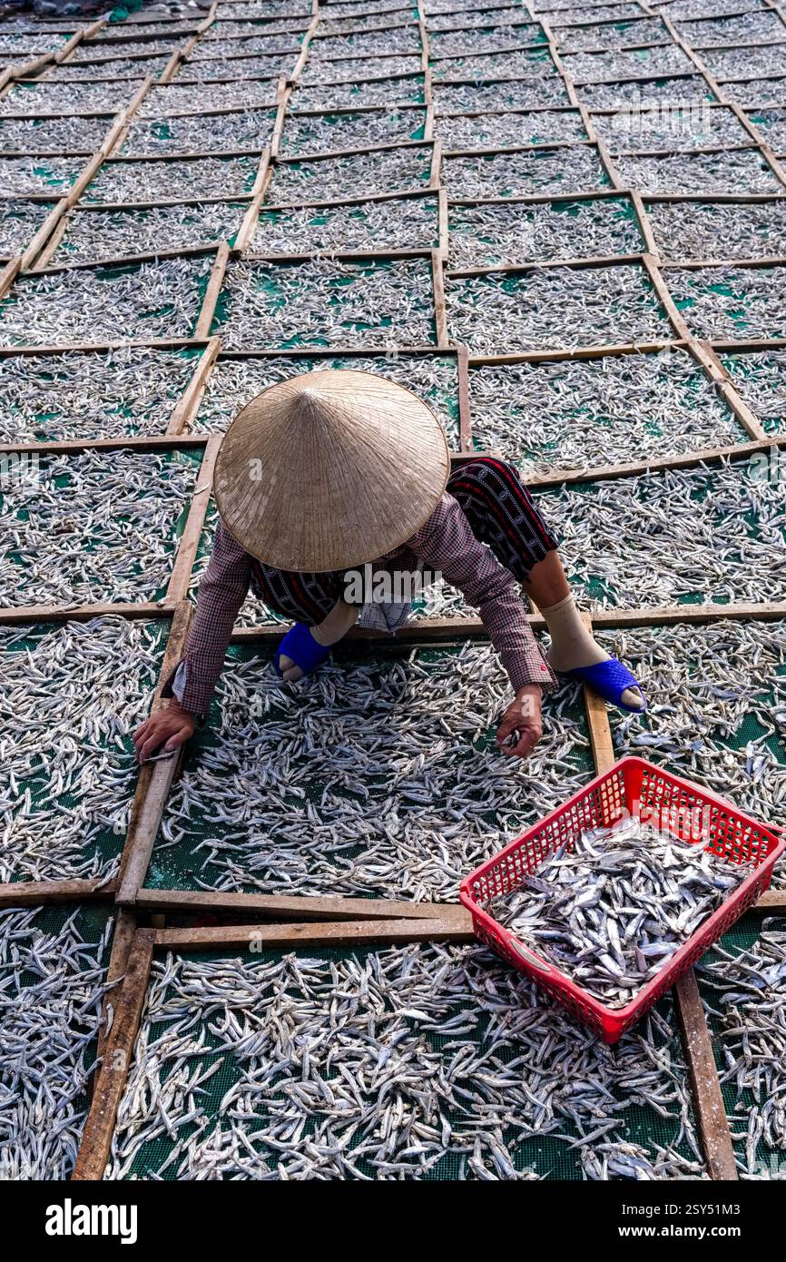 Small fish are dried on simple grates on the beach of Mui Ne, Mũi Né, a ...