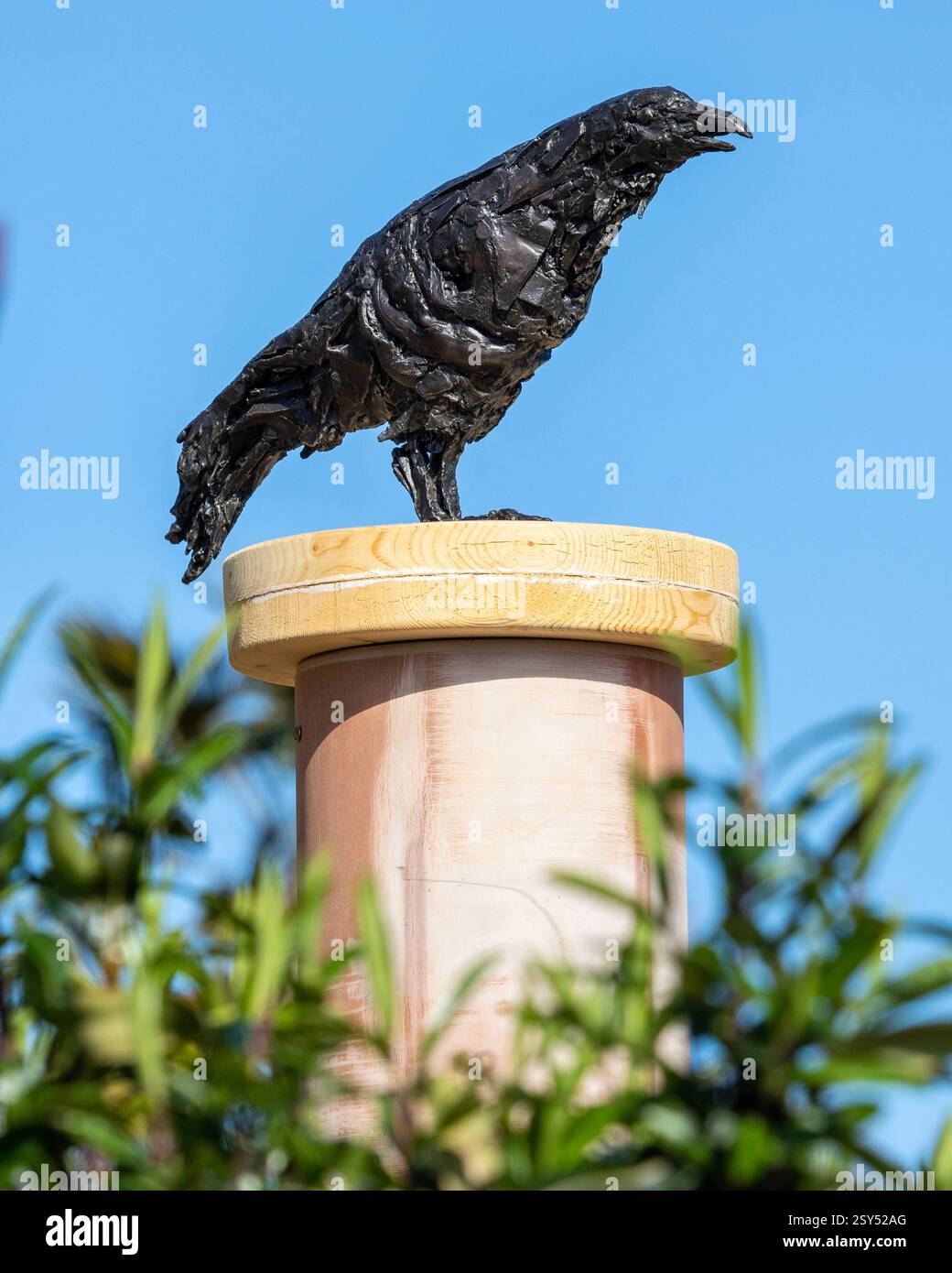 Essex, UK - April 2nd 2023: A Raven sculpture in the Dry Garden at RHS ...