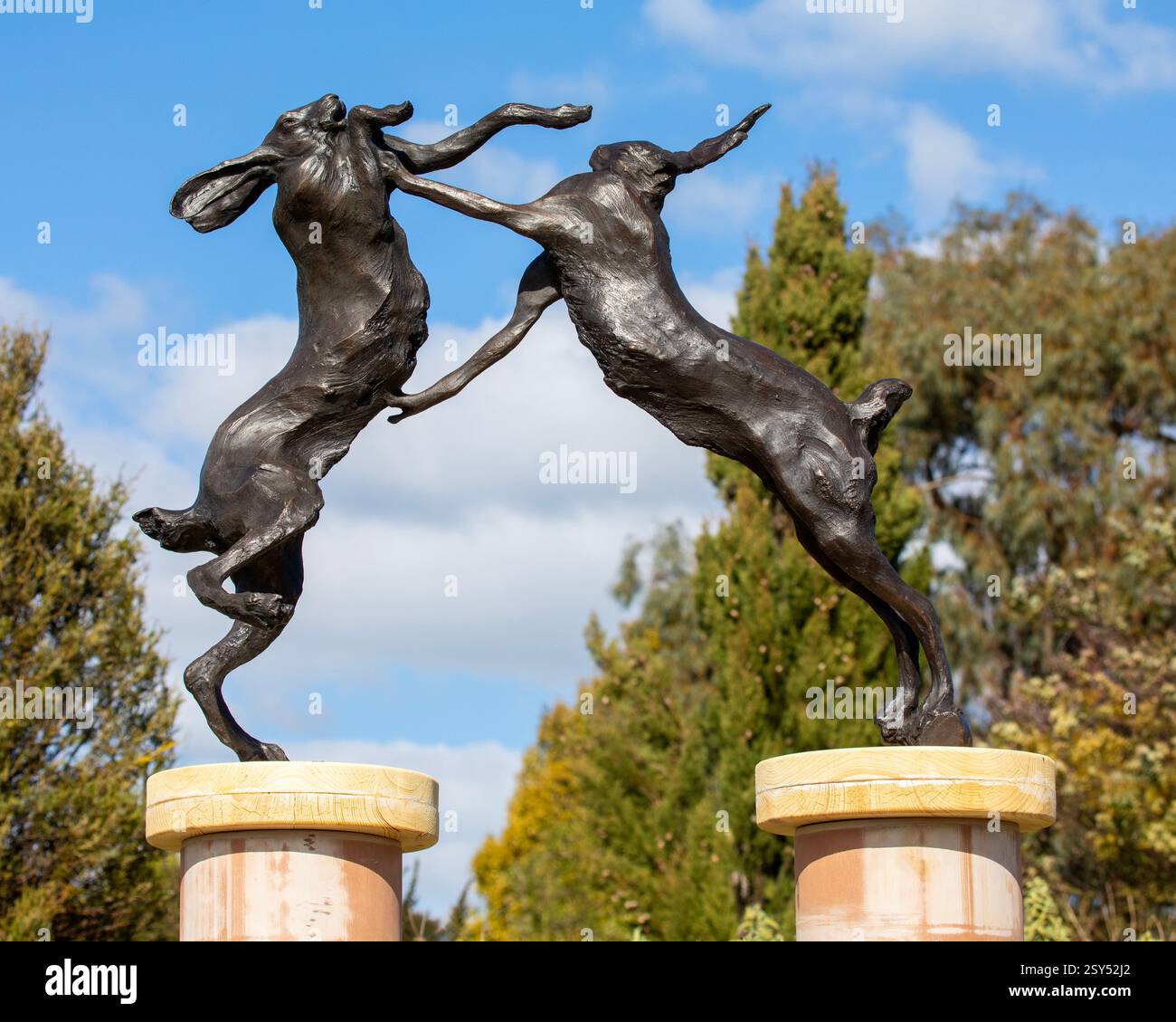 Essex, UK - April 2nd 2023: A Hares sculpture in the Dry Garden at RHS ...