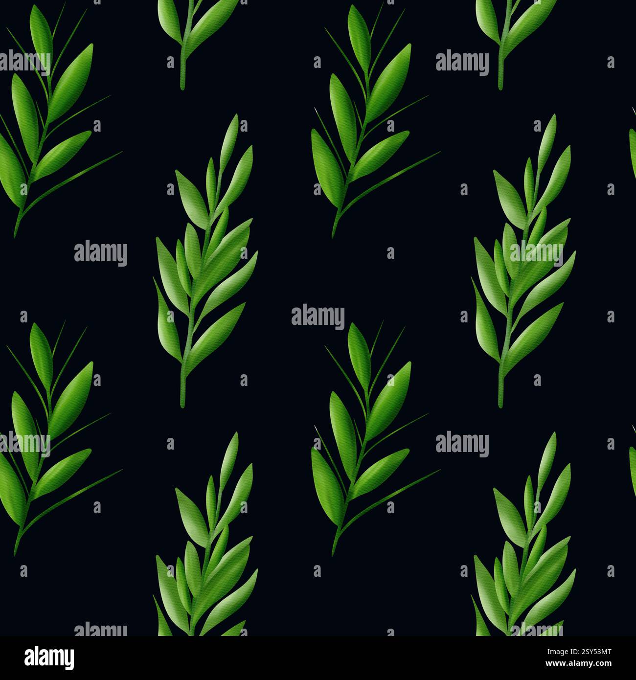 Beautiful colourful green branch with leaves on a black background ...