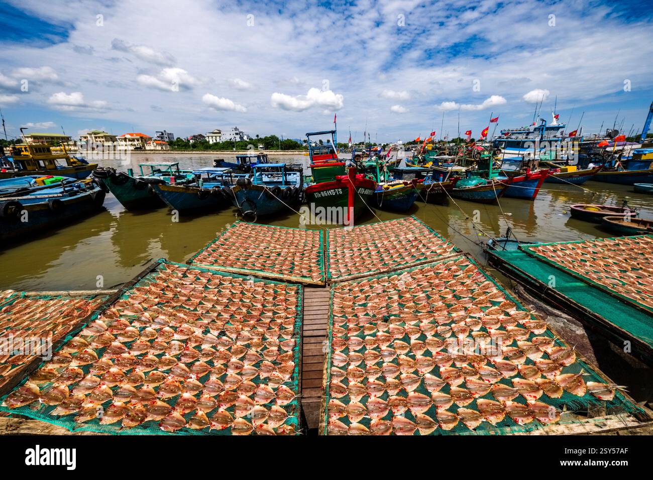 Small fish are dried on simple grates in the harbour of Phan Thiet ...