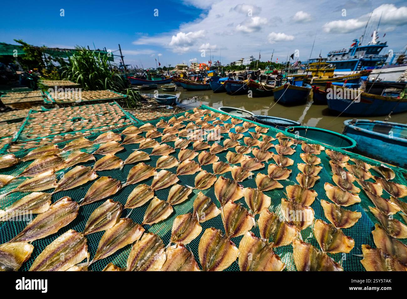Small fish are dried on simple grates in the harbour of Phan Thiet ...