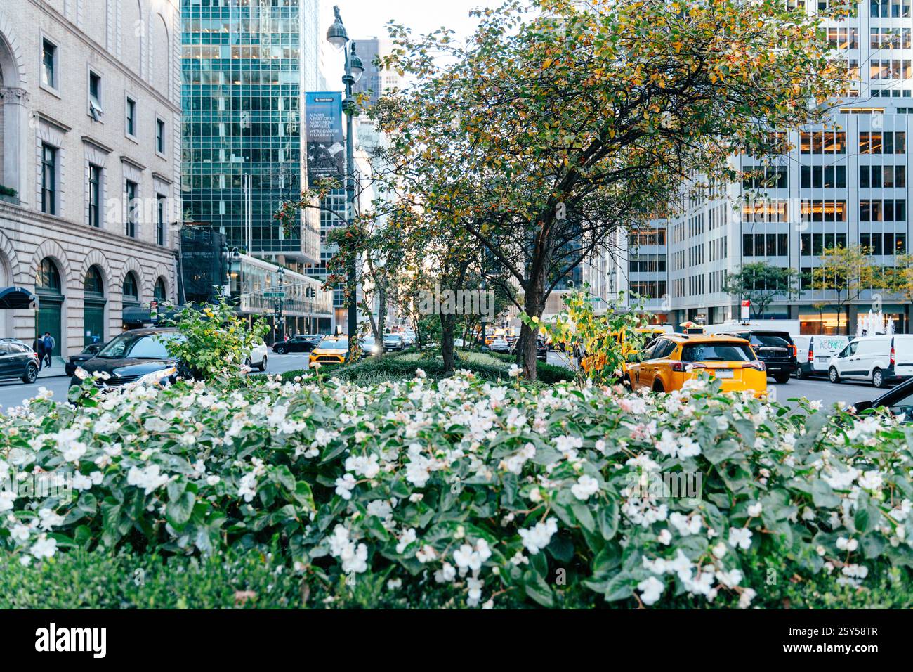 Blooming flowers create a colorful border along Park Avenue ...