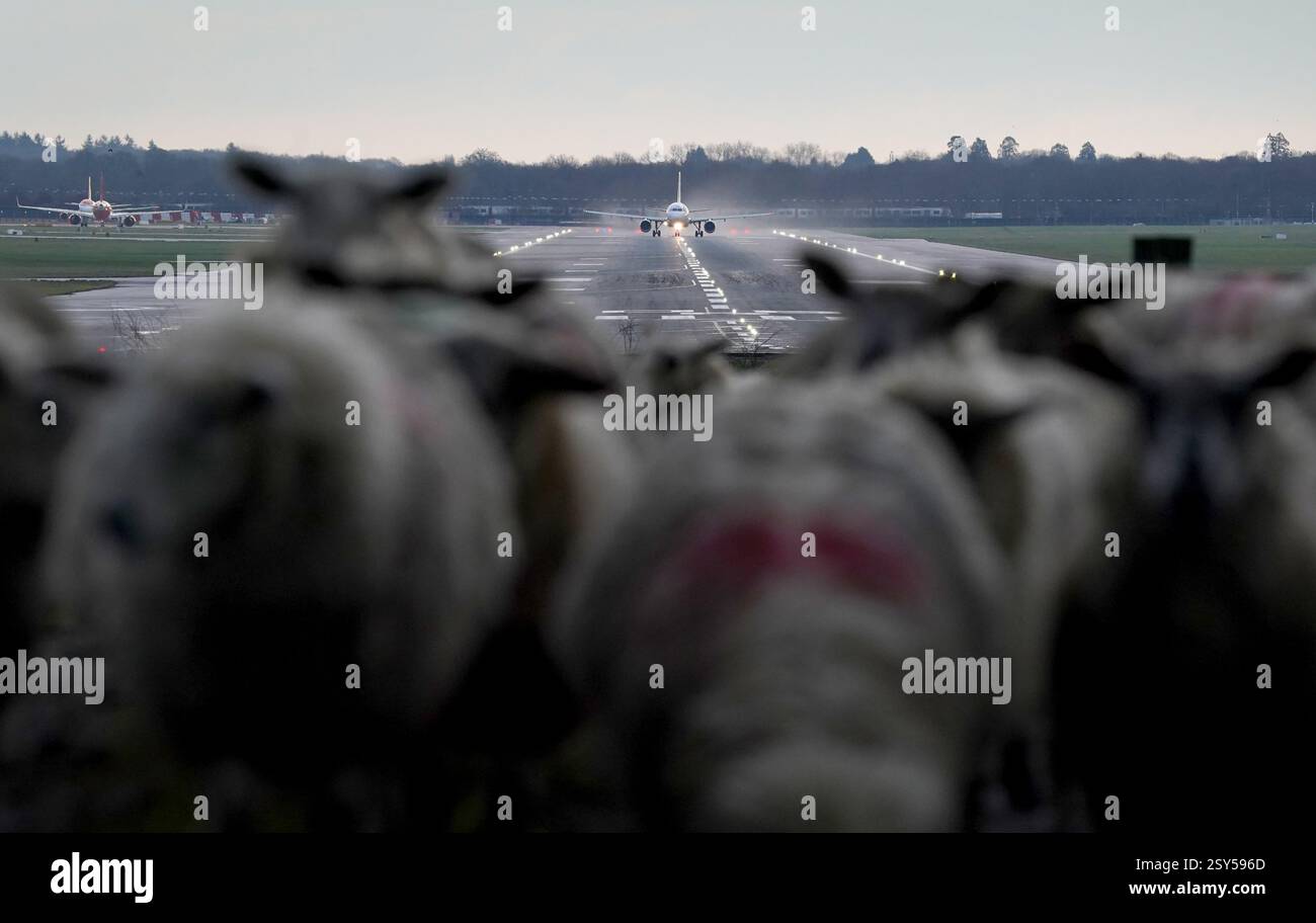 An EasyJet passenger plane takes off at London Gatwick Airport in Crawley, West Sussex. Gatwick ...
