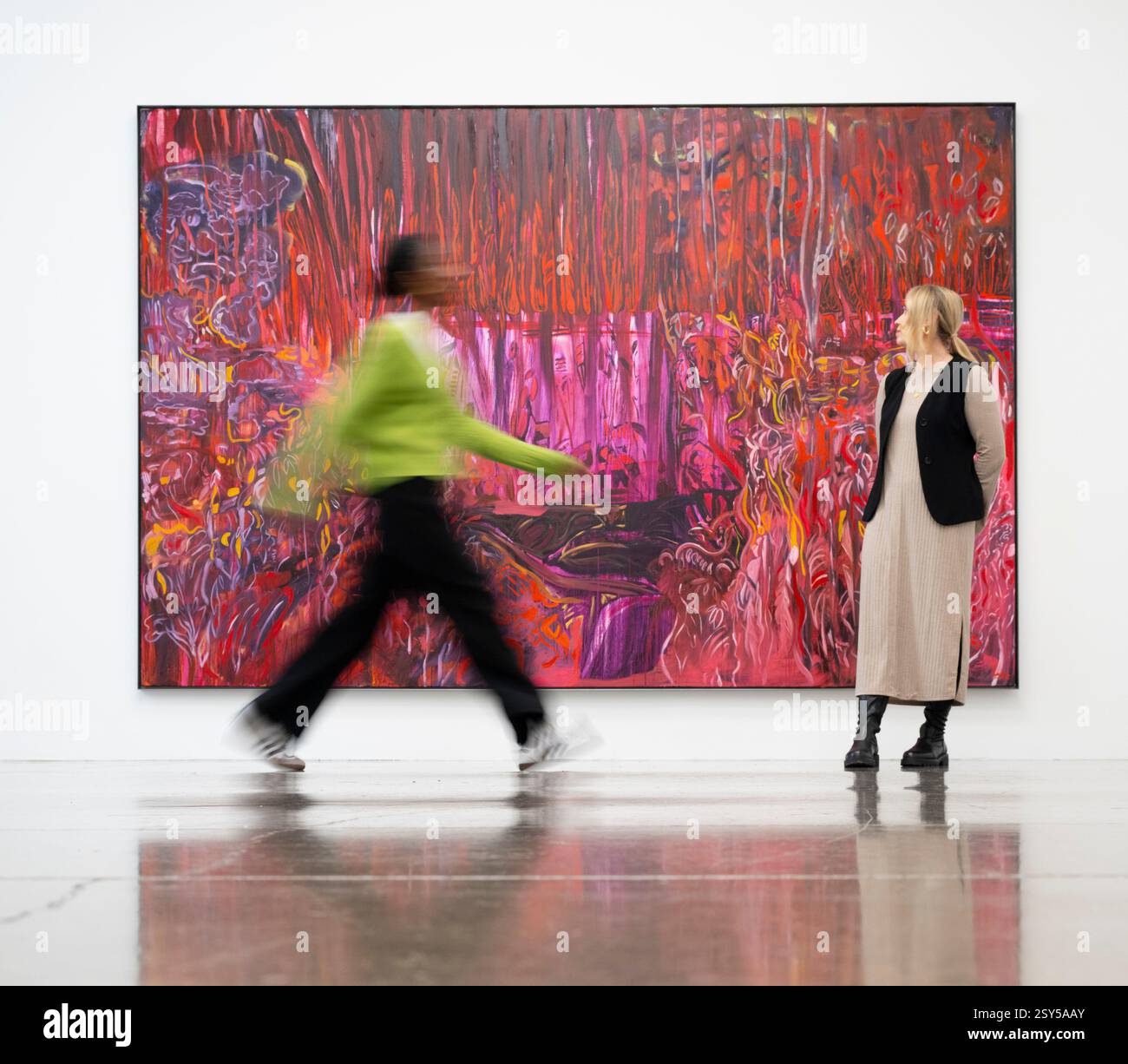 White Cube Mason’s Yard, London, UK. 27th Feb, 2025. Solo exhibition of ...