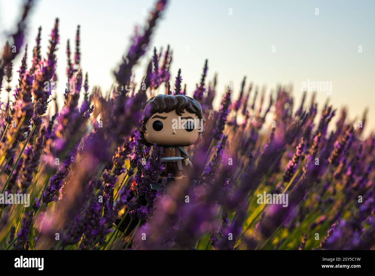 Charming Collectible in Lavender Fields of Provence, France Stock Photo ...