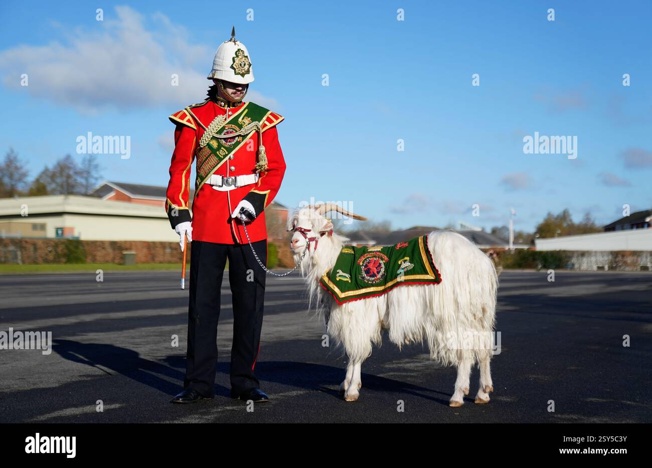 Fusilier Llewelyn II, the Regimental Goat for the 1st Battalion, The ...