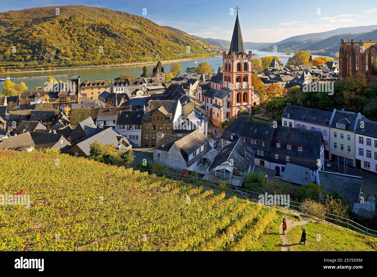 Autumn view of Bacharach on the Rhine with St. Peter's Church, UNESCO ...