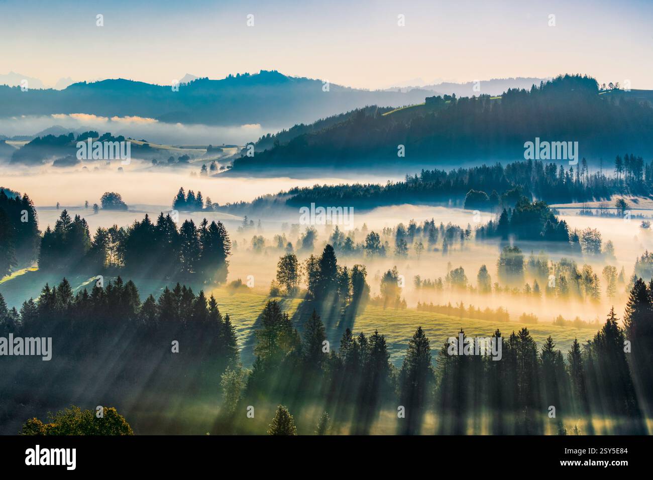 High moor rothenthurm hi-res stock photography and images - Alamy