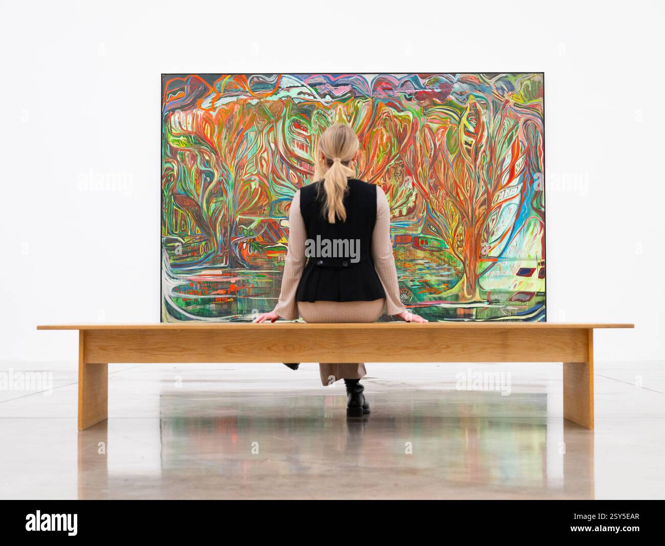 White Cube Mason's Yard, London, UK. 27th Feb, 2025. Solo exhibition of ...