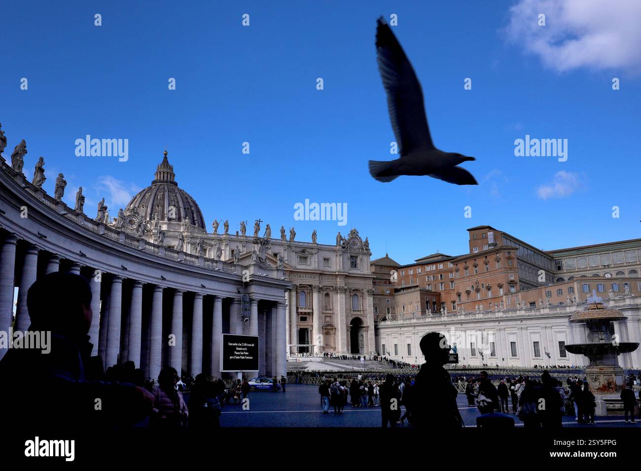 A seagull flies past as people visit St Peter's Square at The Vatican ...