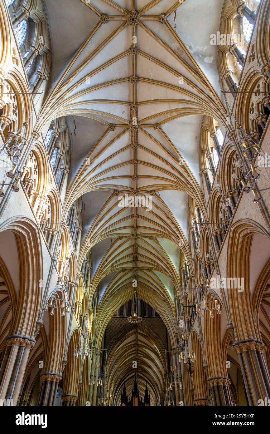 Vaulted nave ceiling roof of medieval Lincoln cathedral interior, city ...