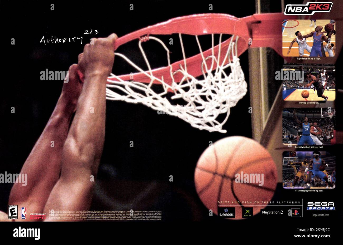 2002 NBA 2K3 game ad, developed by Visual Concepts and published by Sega Stock Photo - Alamy