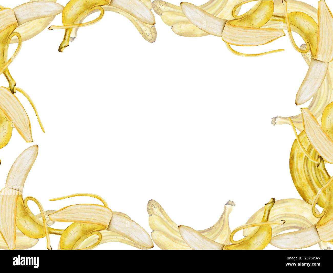Banana watercolor frame. Hand drawn ripe tropical fruit. Clip art ...