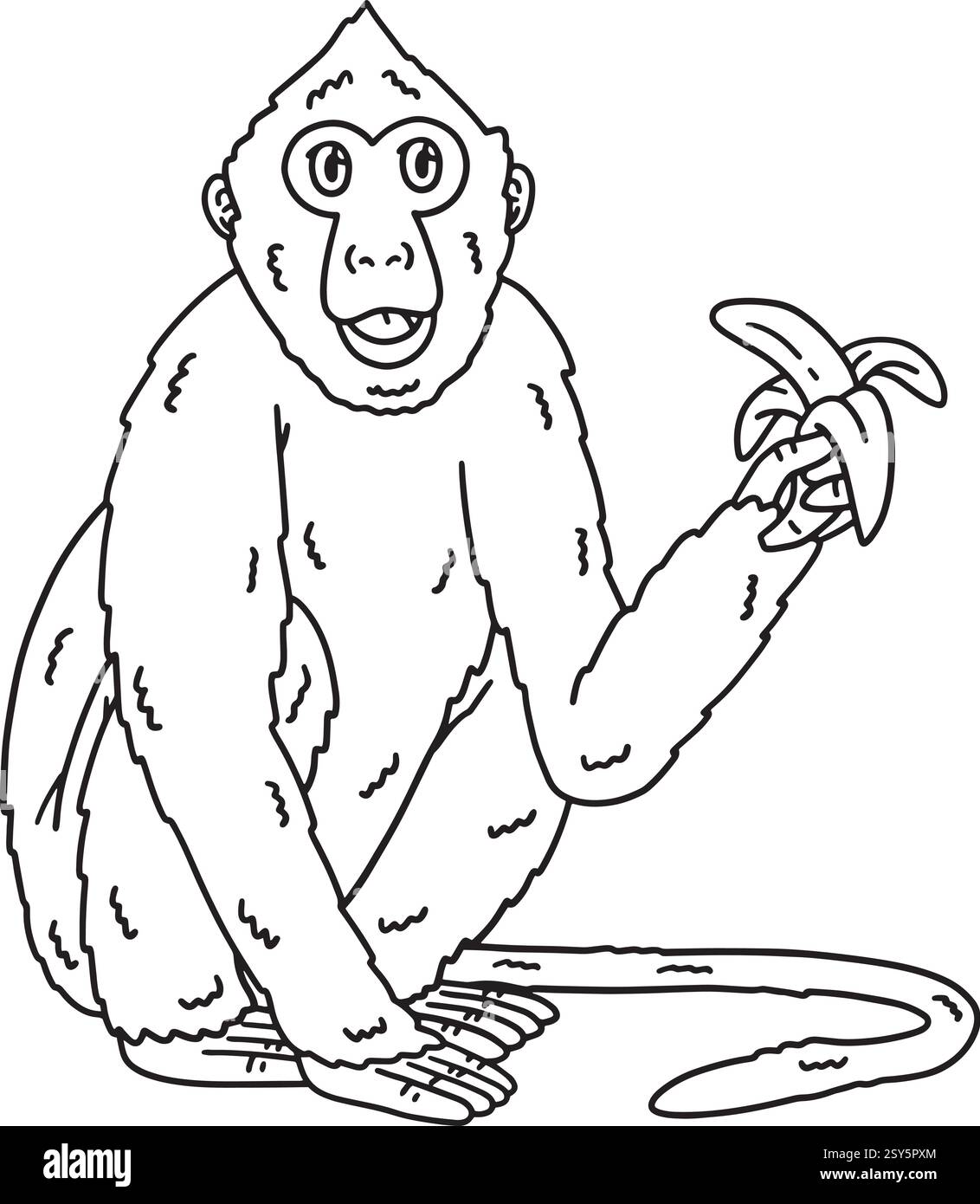 Crab Eating Macaque Monkey Isolated Coloring Page Stock Vector Image ...