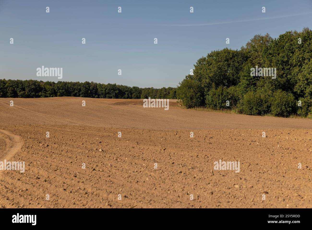 a field during the preparation for sowing landscape, the forest in ...