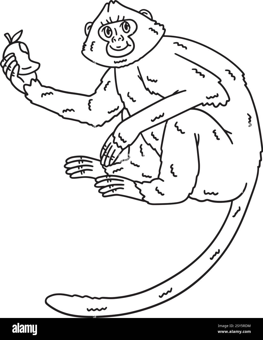 Hanuman Langur Monkey Isolated Coloring Page Stock Vector Image & Art ...