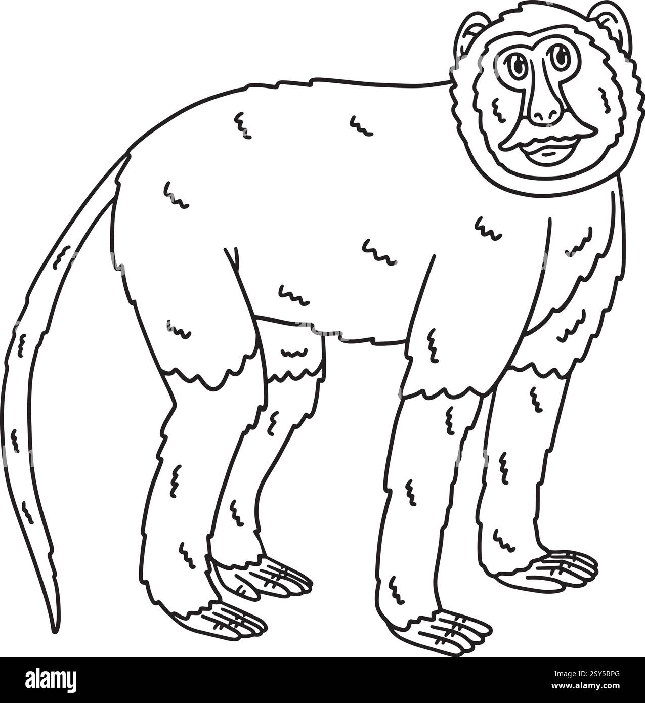 Patas Monkey Animal Isolated Coloring Page Stock Vector Image & Art - Alamy