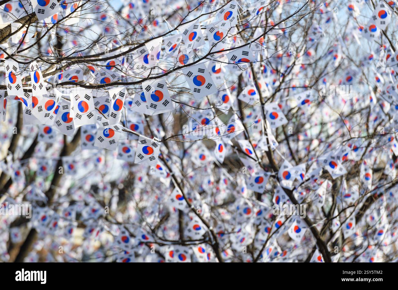 Seoul, South Korea. 27th Feb, 2025. South Korean national flags are ...