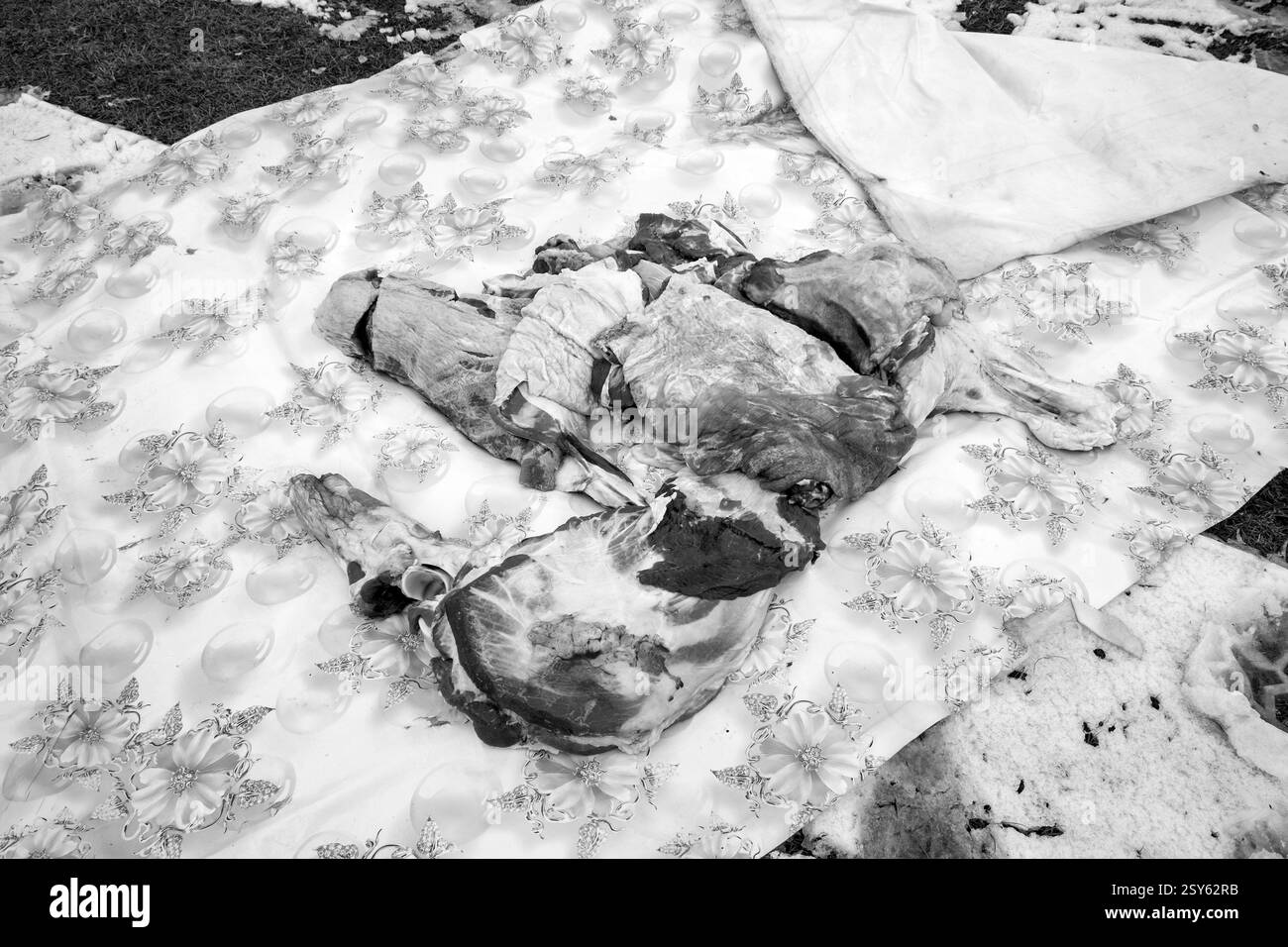 Kyrgyzstan. Kel-Suu village. yak slaughter Stock Photo - Alamy