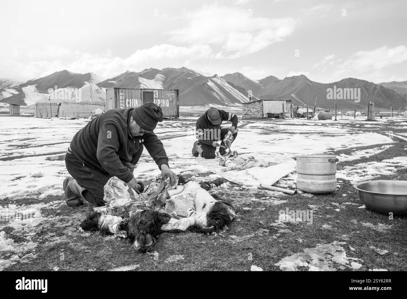 Kyrgyzstan. Kel-Suu village. yak slaughter Stock Photo - Alamy