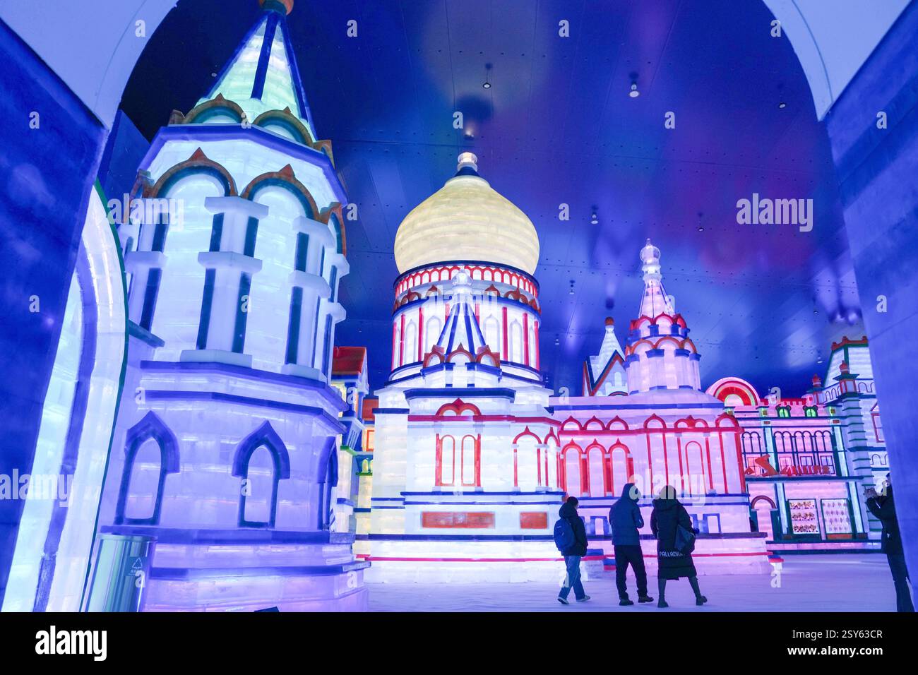(250227) -- HARBIN, Feb. 27, 2025 (Xinhua) -- Tourists walk by the ice ...