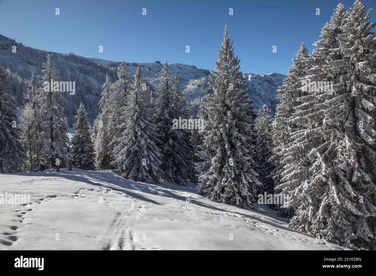 Pertisau, Österreich 15. Februar 2025: Im Bild: Das Karwendelgebirge ...