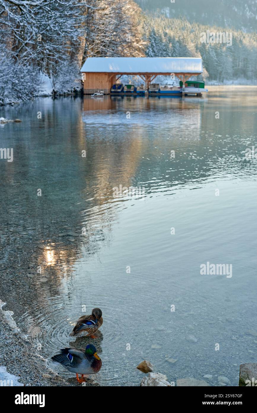 Tranquil winter lakeside scene showcasing natural beauty with wooden ...