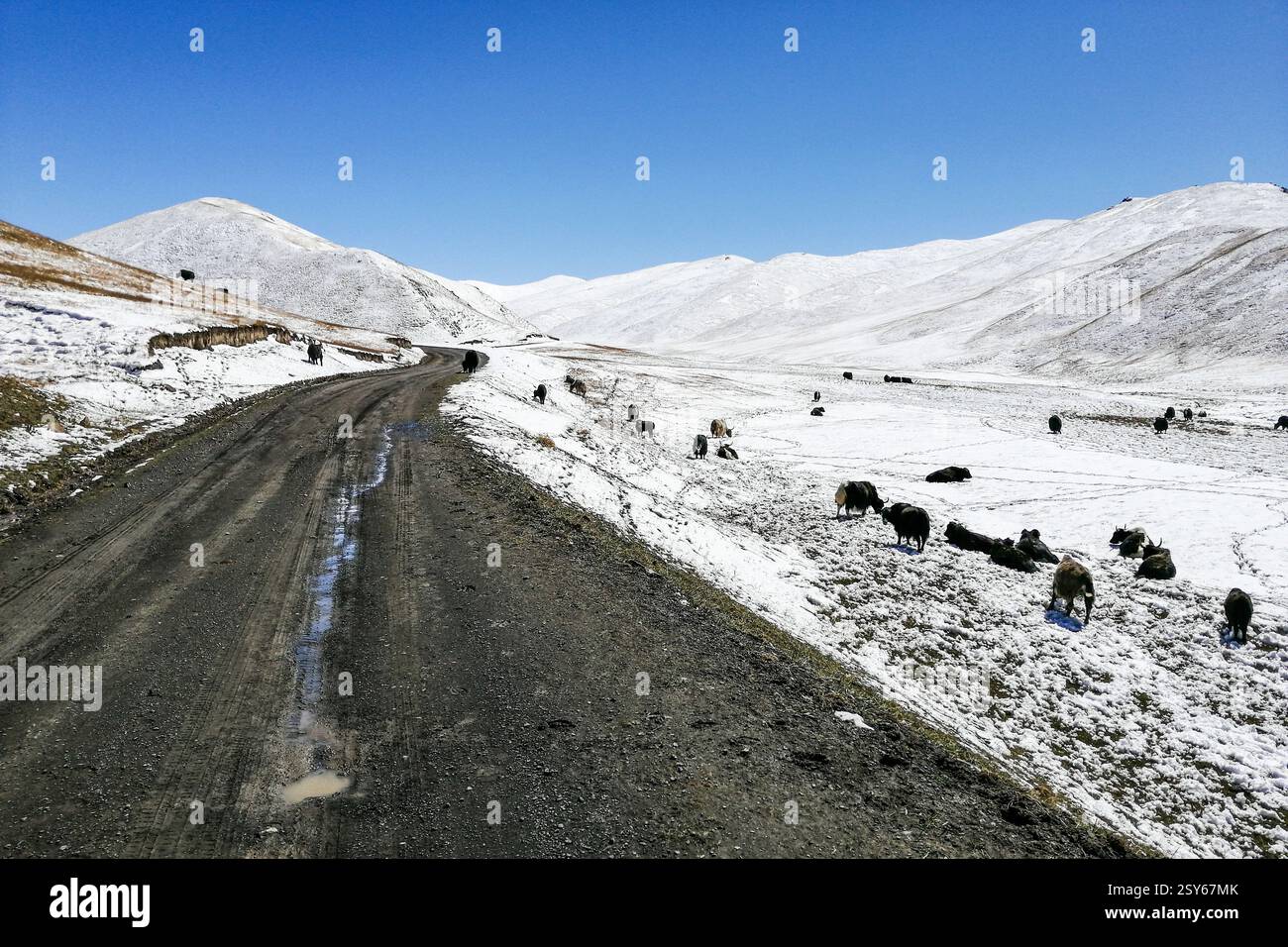 Kyrgyzstan. surroundings Kel-Suu lake Stock Photo - Alamy
