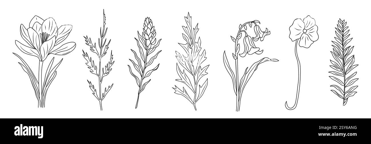 Set of wild, garden flowers, plants line art Stock Vector Image & Art ...