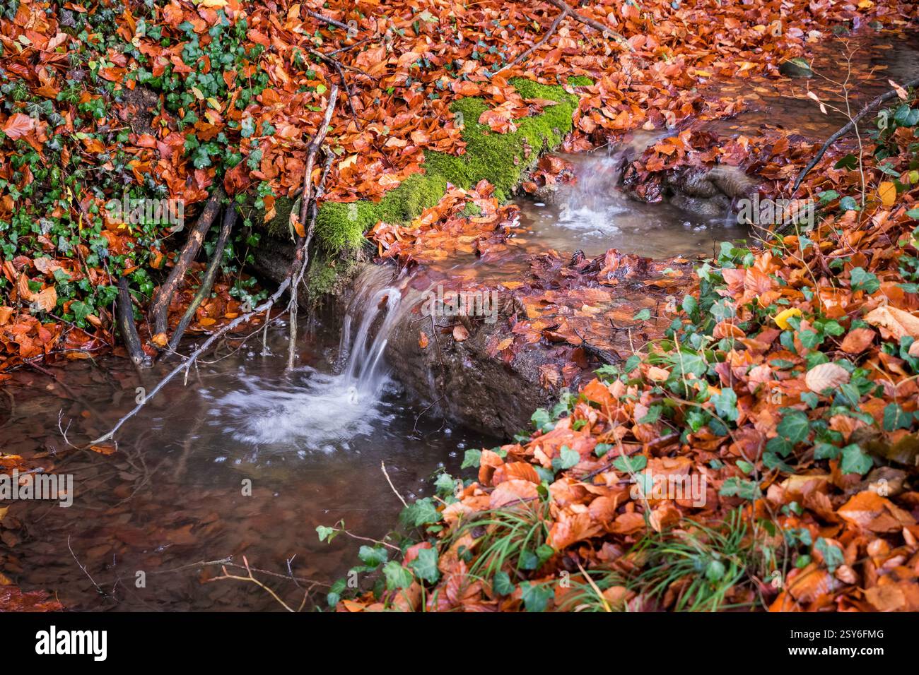 Colors in motion hi-res stock photography and images - Alamy