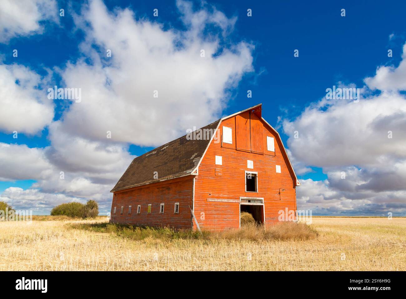 Red barn with a white roof sits in a field. The barn is empty and the ...